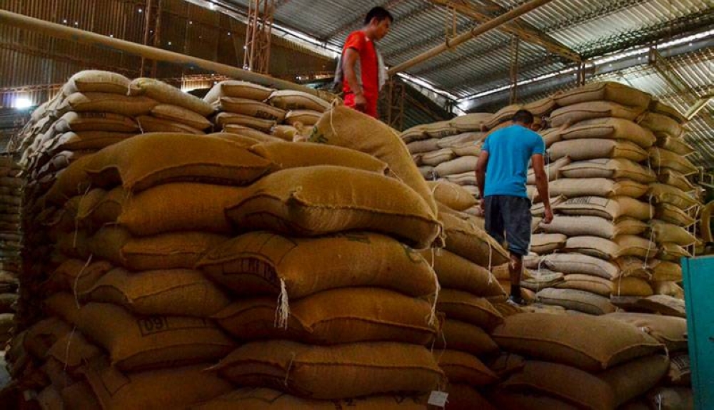El volumen de café exportado este 2024 cae a su mínimo en 30 años